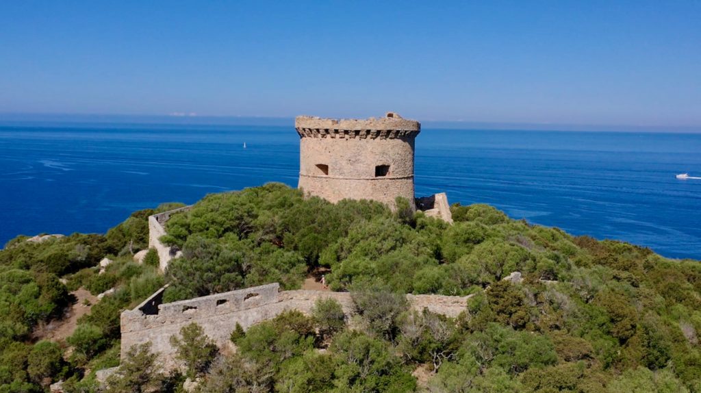 Promenades en mer à Propriano